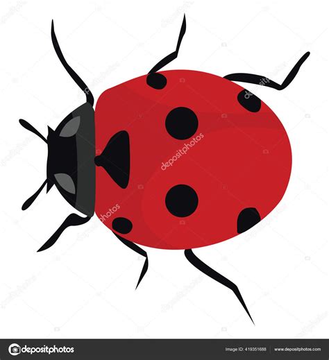 Cute Ladybug Illustration Vector White Background Stock Vector By