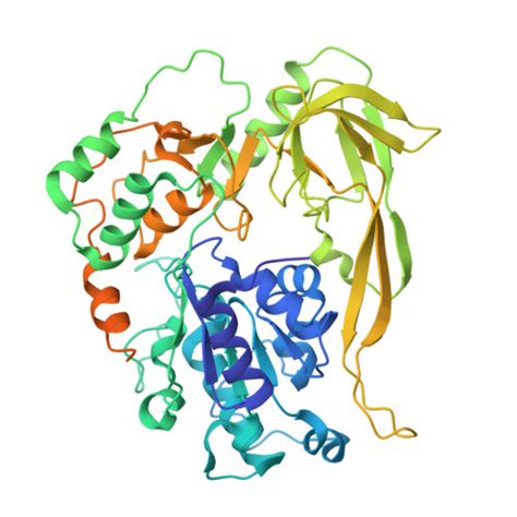 Rcsb Pdb 8bnx Crystal Structure Of Pif1 From Deferribacter
