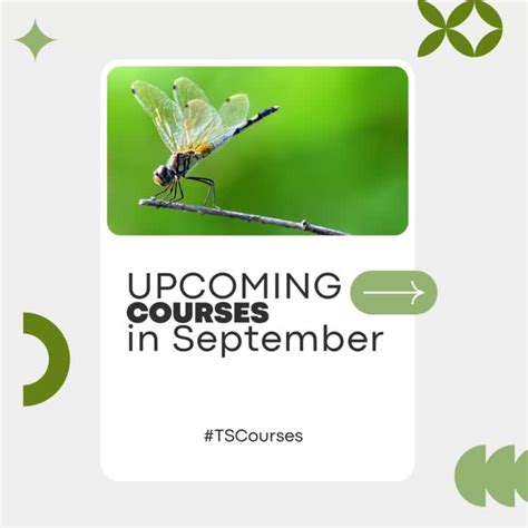 Transmitting Science On Linkedin Tscourses Keeplearning Sciencecommunication Machinelearning