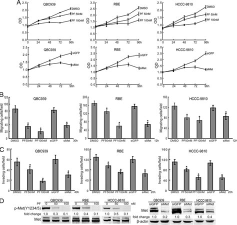 C Met Promotes Proliferation And Invasion Of Human Cholangiocarcinoma Download Scientific