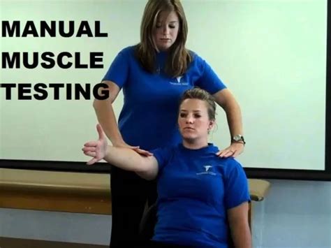 Muscle Grading System Motor
