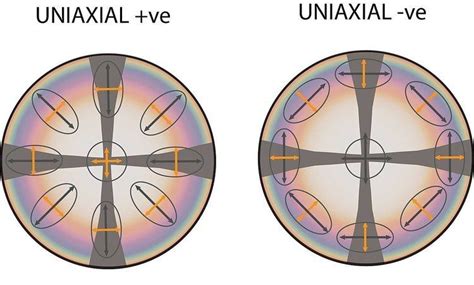 Conoscopic Interference Pattern Alchetron The Free Social Encyclopedia