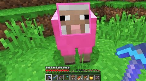 What Are The Rarest Sheep Colors In Minecraft