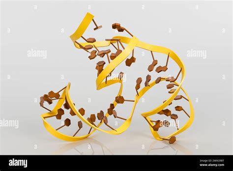 Illustration Of An Aptamer Drug Aptamers Are A Special Class Of Nucleic Acids That Can Bind