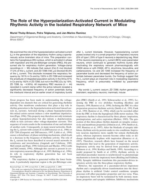 Pdf The Role Of The Hyperpolarization Activated Current Ih In Modulating Rhythmic Activity In