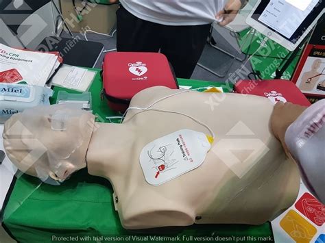 MÔ HÌnh HuẤn LuyỆn Cpr HÀn QuỐc ChÍnh HÃng Bestcpr GiÁ TỐt NhẤt