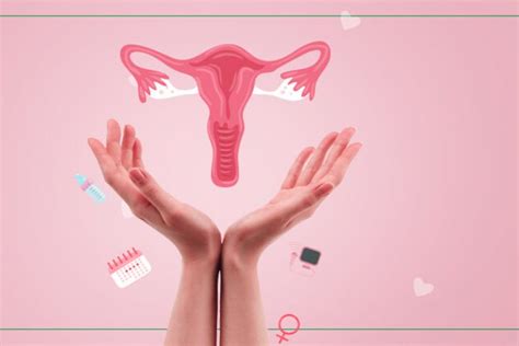 Vajina Kurulu Una Hangi Ya Yi Gelir G Ncel Oku