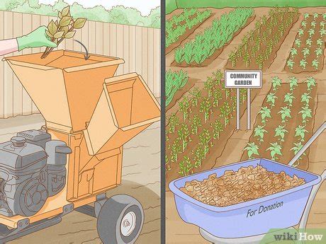 Simple Ways To Remove Raspberry Bushes Steps With Pictures