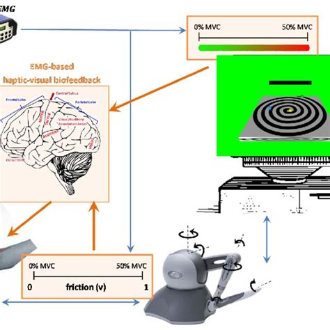 Pdf Emg Based Visual Haptic Biofeedback A Tool To Improve Motor