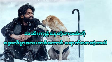 အထီးကျန်နေတဲ့ဘ၀ထဲကို ခွေးလိမ္မာလေး‌တကောင်ရောက်လာတဲ့အခါ Youtube