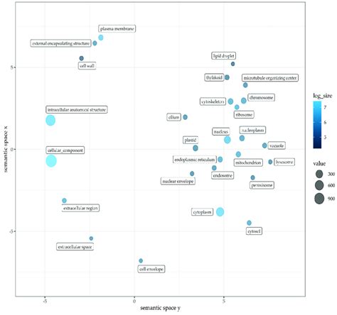 Gene Ontology Term Classification Within Cellular Components Of Pink