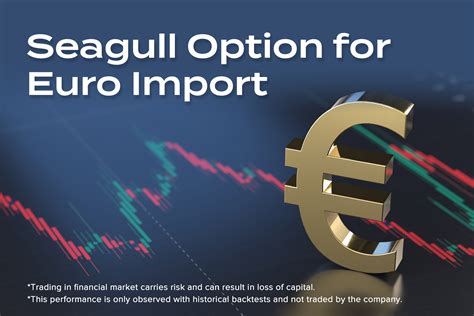 Seagull Option For Euro Import Century Financial