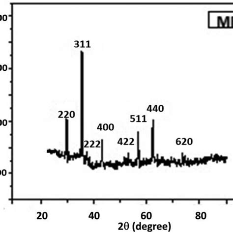 a tem results of hmf nps b dls size distribution of hmf pda nps download scientific