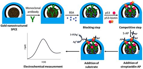 Application Of Electrochemical Immunosensors At Rosa Vega Blog