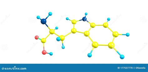 Tryptophan Molecular Structure Isolated On White Stock Illustration