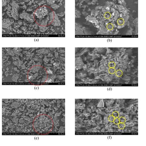Sem Result For A Nacl 1 M 1000x B Nacl 1 M 3000x C Nacl 2 M Download Scientific Diagram