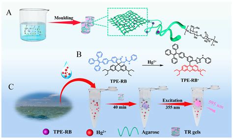 Aggregation Induced Emission Luminogen Encapsulated Fluorescent Hydrogels Enable Rapid And