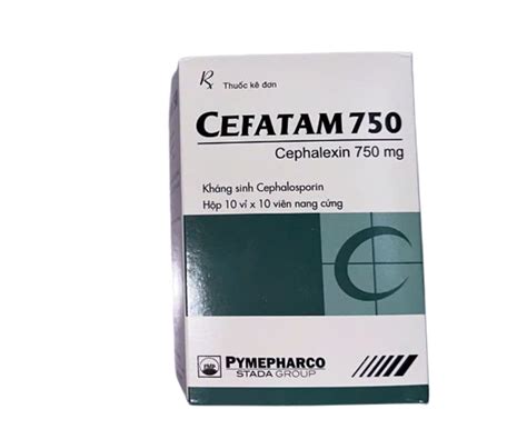 Cefatam Cephalexin 750mg Pymepharco H100v