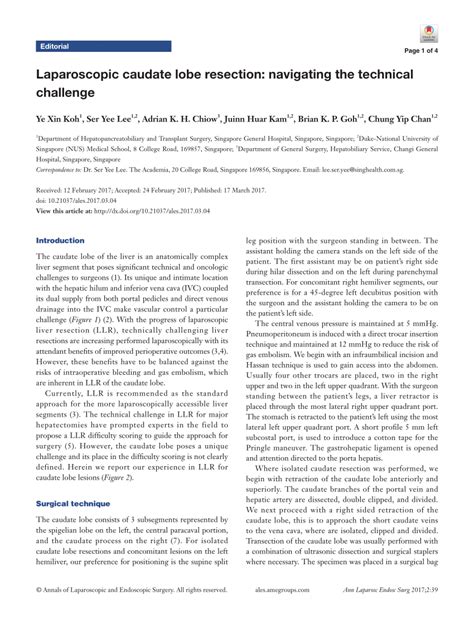 Pdf Laparoscopic Caudate Lobe Resection Navigating The Technical Challenge