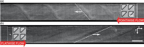 Low Magnification Snapshots Of Fluorescent Dna Moving Through An Array