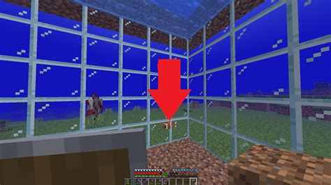 I Bought 4 Buckets Of Tropical Fish In My Entire World And I Got The