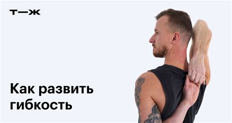 Гибкость: что это, виды, польза и противопоказания, как сделать тело ...