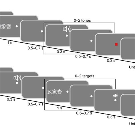 Schematic Illustration Of The Stimulus Display Sequence A