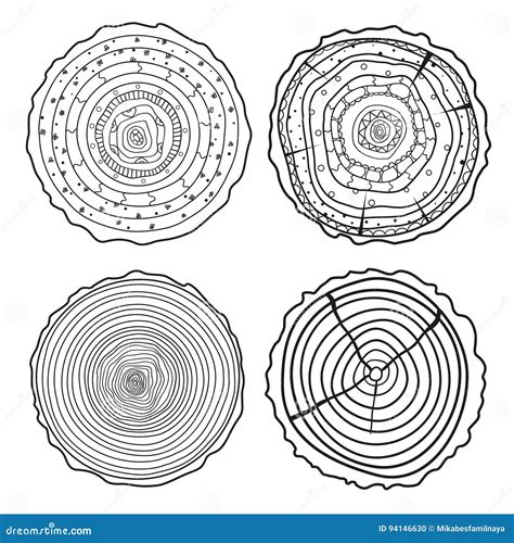 Tree Rings Set Of Cross Section Of The Tree Vector Illustration CartoonDealer Com 94146630