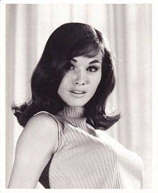 Lori Saunders Wikibio Net Worth Today Death Husband And Career