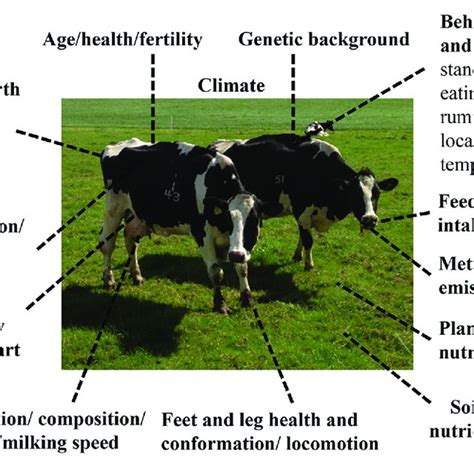 Pdf Novel Monitoring Systems To Obtain Dairy Cattle Phenotypes Associated With Sustainable