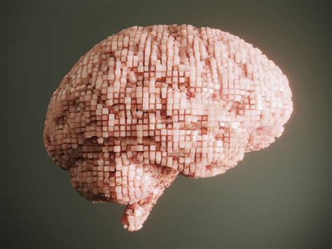 Organoid Intelligence Computing On The Brain Lifeboat News The Blog