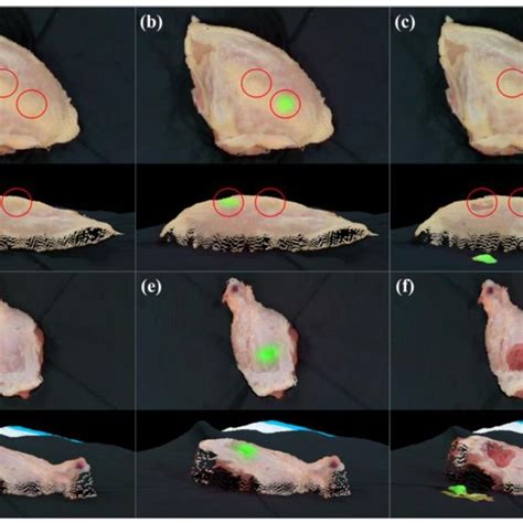 Ex Vivo Image Guided Surgeries In Biological Models A C Simulated