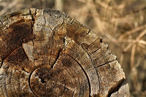 Premium Photo Close Up Of Textured Surface