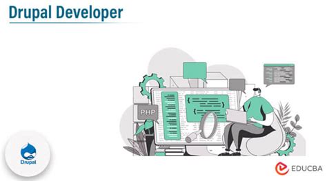 Drupal Developer Drupal Website Builder Developer Roles