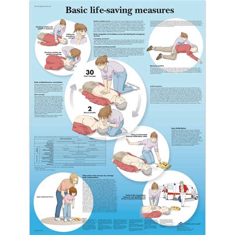 Basic Life Support Chart Sem Trainers