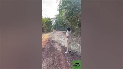 ດິນສວນງາມໆ ບ້ານດ່ານຊີ ເມືອງນາຊາຍທອງ ນະຄອນຫຼວງວຽງຈັນ Youtube