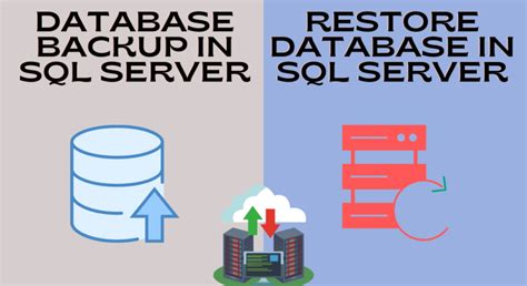 Backup And Restore Sql Server Databases Student Projects Live