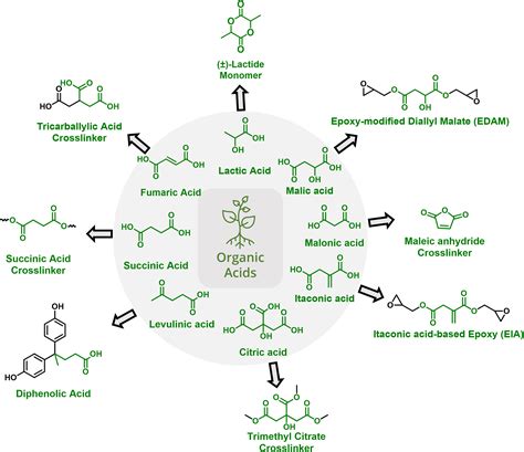Covalent Adaptable Networks From Renewable Resources Crosslinked Polymers For A Sustainable