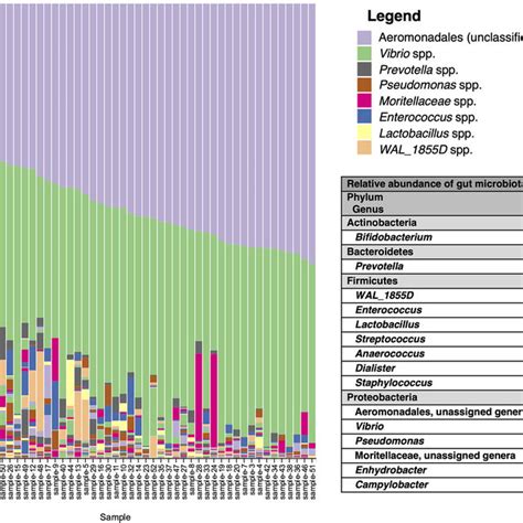 Relative Abundance Of Genera Across Participants Each Stacked Bar Plot