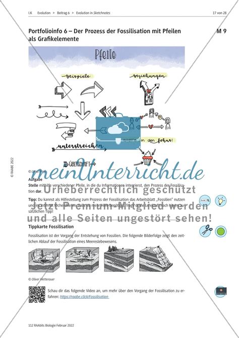 Fossilien Als Belege Der Evolution M1 M11 Meinunterricht