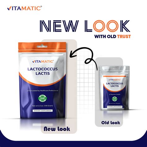 Lactococcus Lactis Probiotic Powder Digestive Health Support 100 Gram