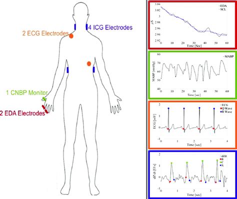 Subject Setup With Continuous Eda Scl In Blue Mabp Ecg And Icg Download Scientific Diagram