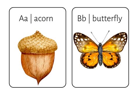 Nature Alphabet Posters Regio Emilia Inspired Etsy