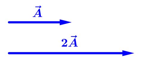 Operations With Vectors With Examples Neurochispas