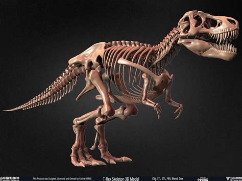 T Rex Skeleton 3d Model Zbrushcentral