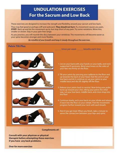 Undulation Exercises For The Sacrum And Low Back