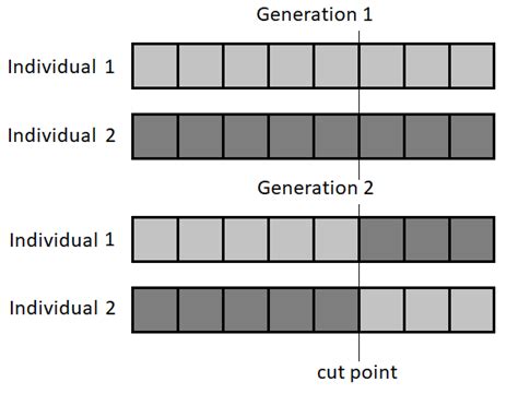 Crossover Procedure Between Two Individuals Of A Population Download Scientific Diagram