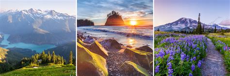 야외활동 Seattle Northcountry