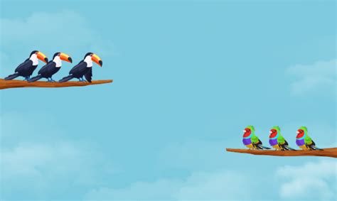 Bird Sort Puzzle On Behance