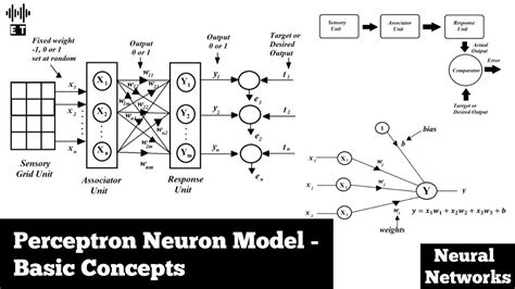 Perceptron Neural Network Model Basic Concepts Neural Networks